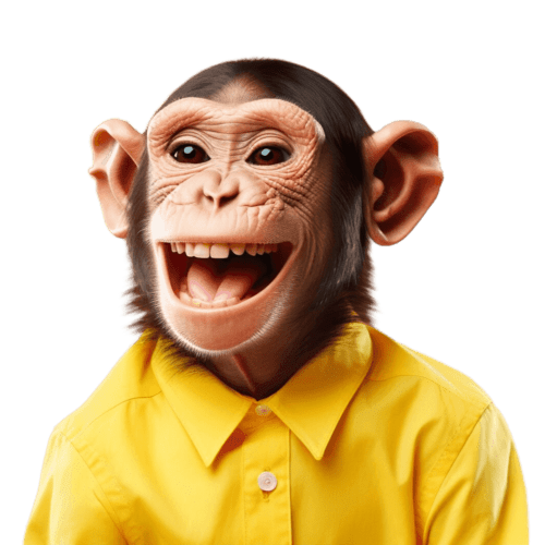 Inicio | Monkey Beats